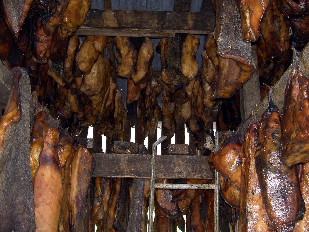 Dare to Eat - The Most Adventurous Foods Around The World