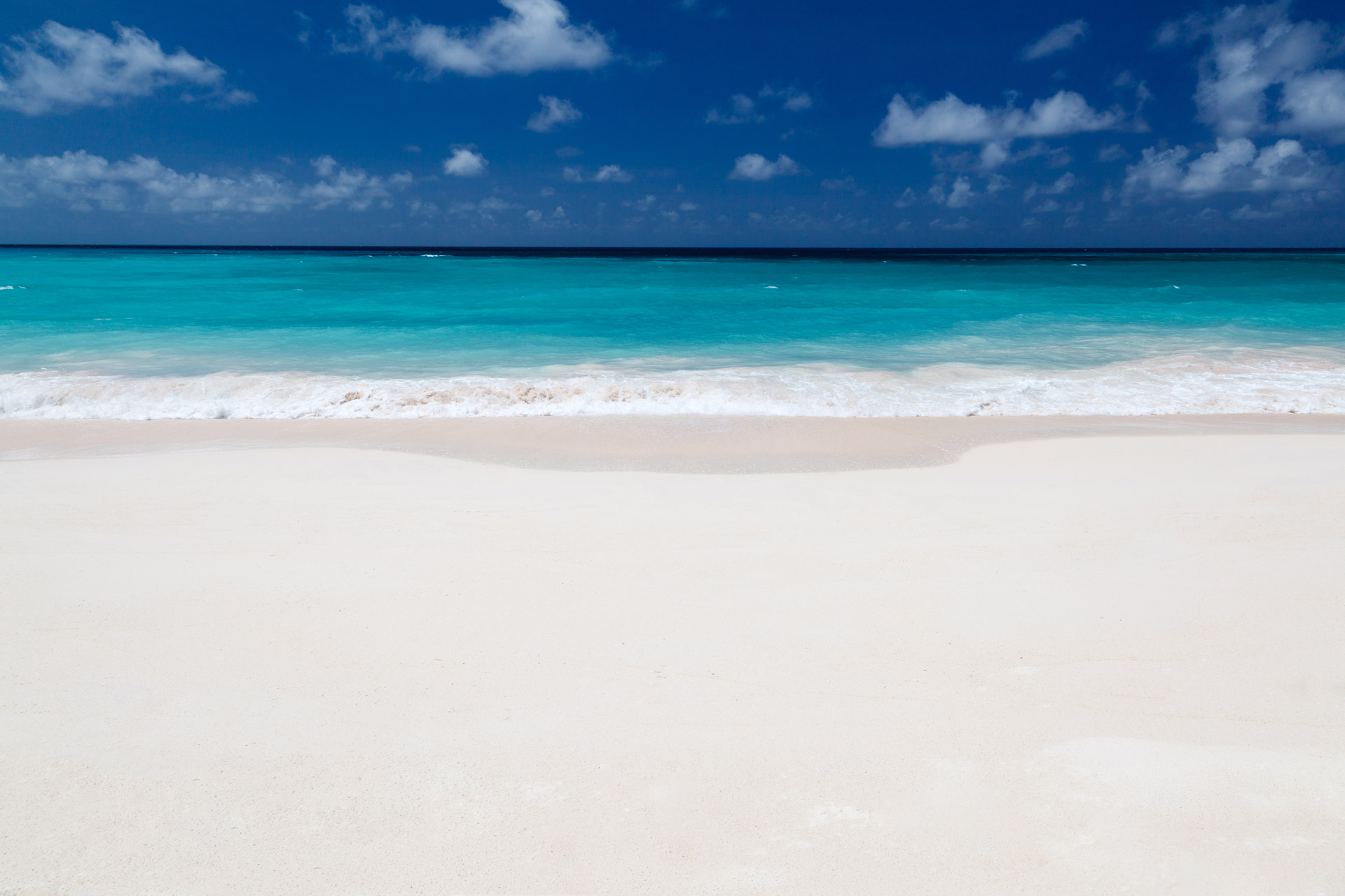 Water Babies: Why We Love The Ocean - Advensure Blog